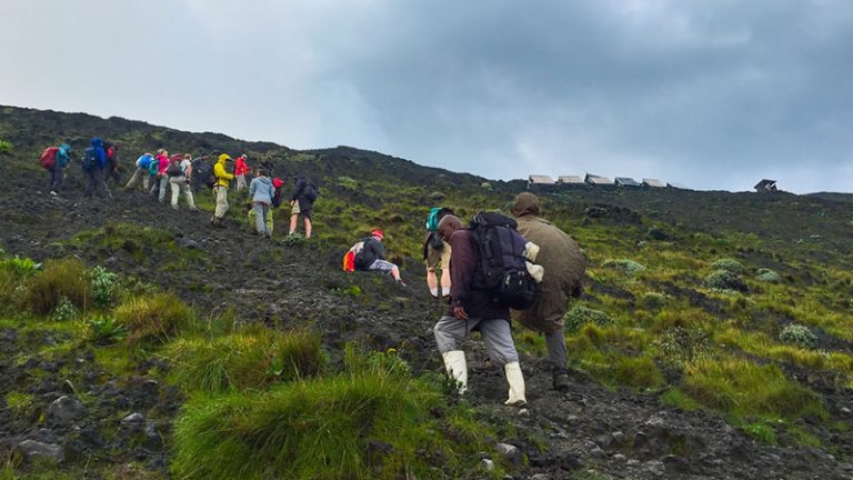 Volcano Hiking Rwanda | Visit Volcanoes National Park